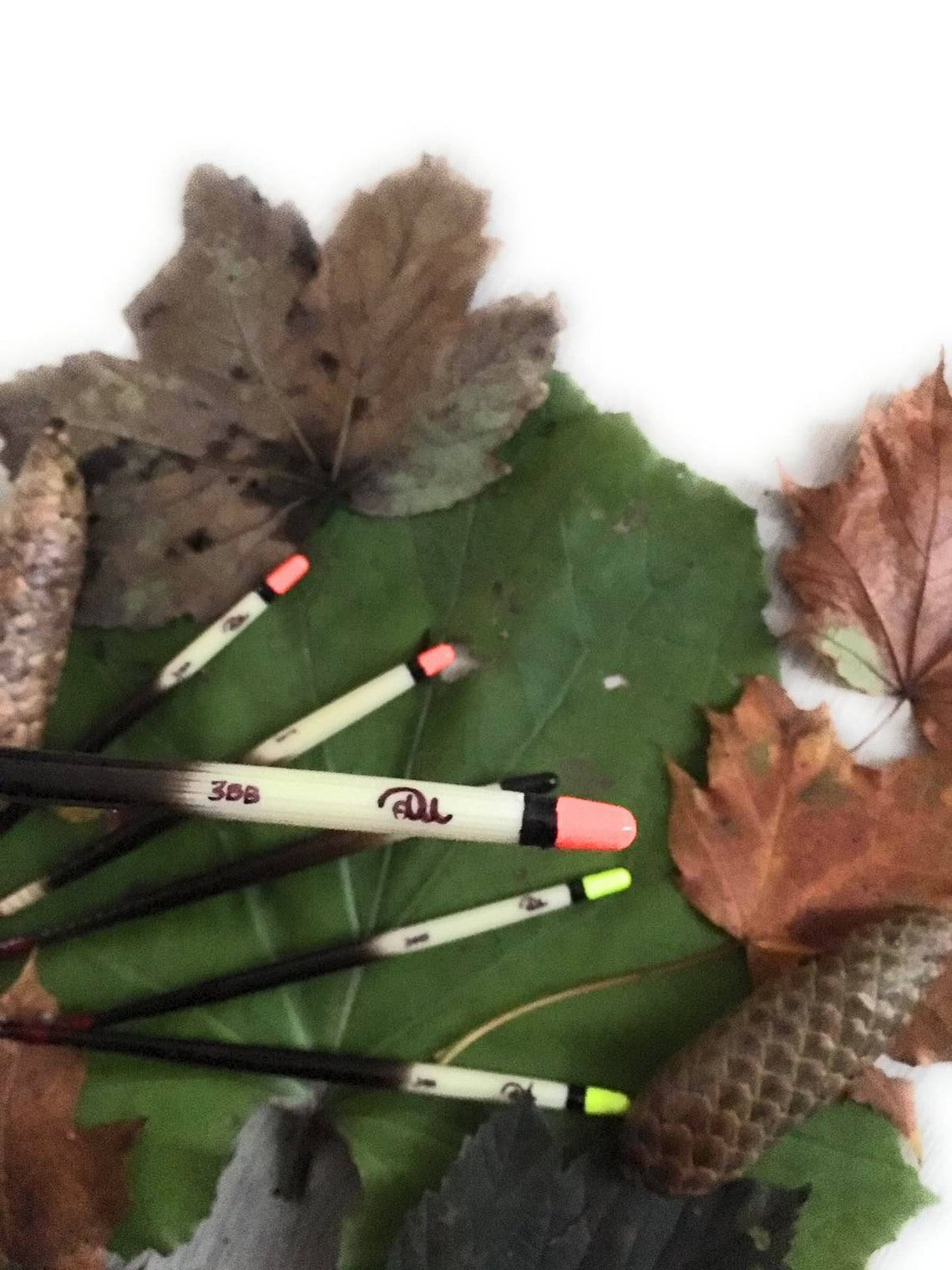 Porcupine Quill Fishing Floats For Sale at Evelyn Mcelroy blog