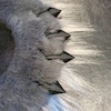 Fursuit Earrings removable Rings - Etsy