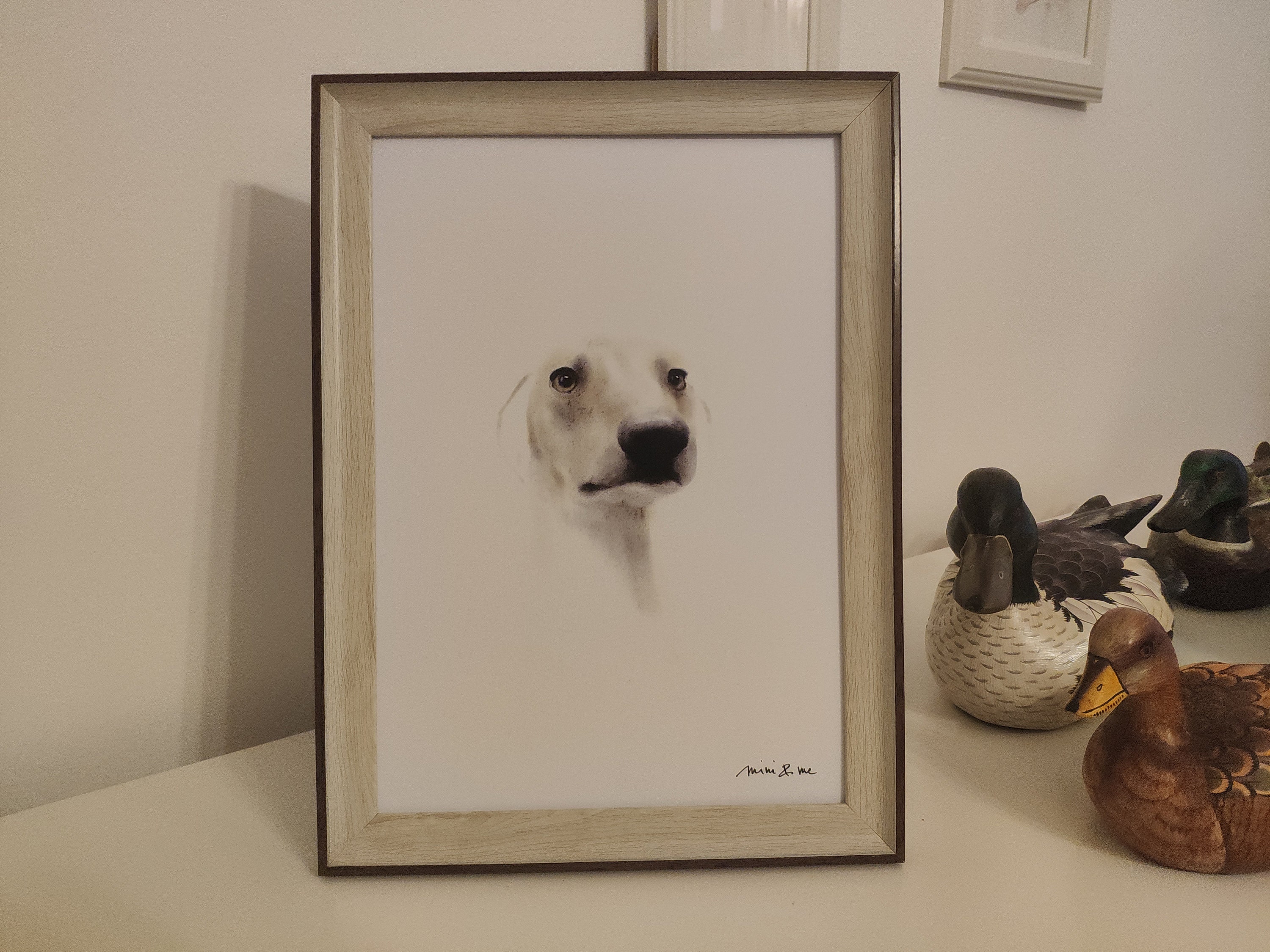 Cute Sighthound Galgo Digital Drawing - Etsy