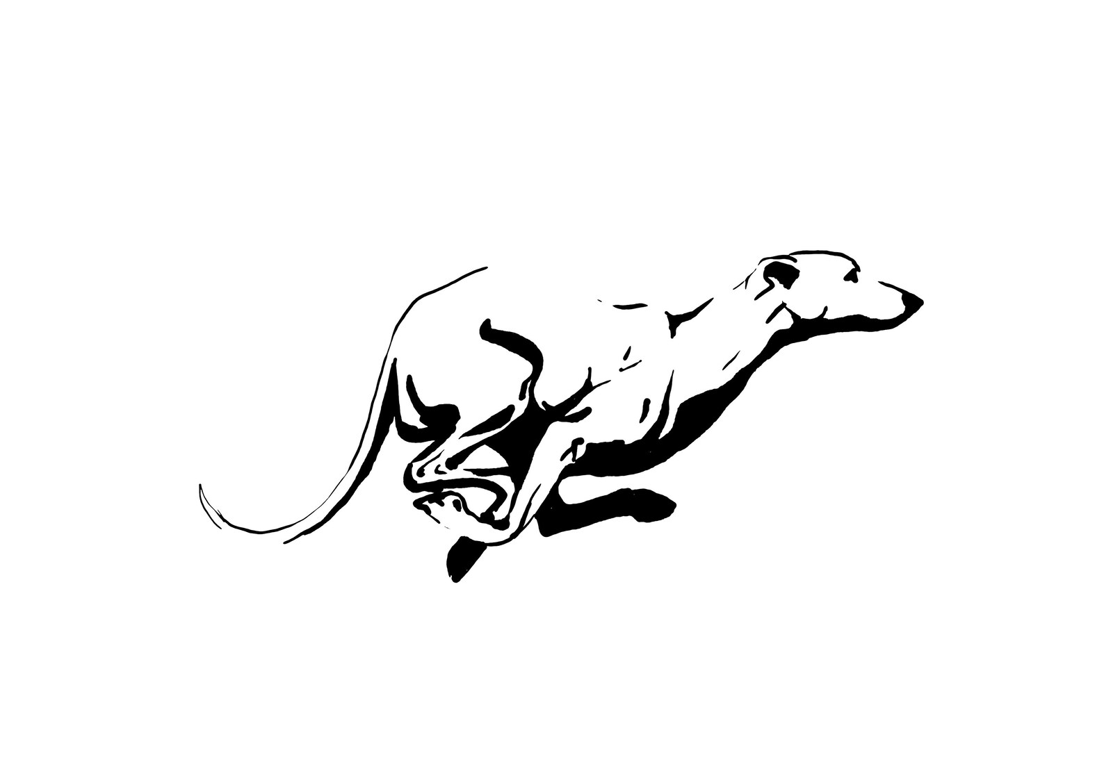 Digital Drawing of Elegant Whippet Running Black Linear | Etsy