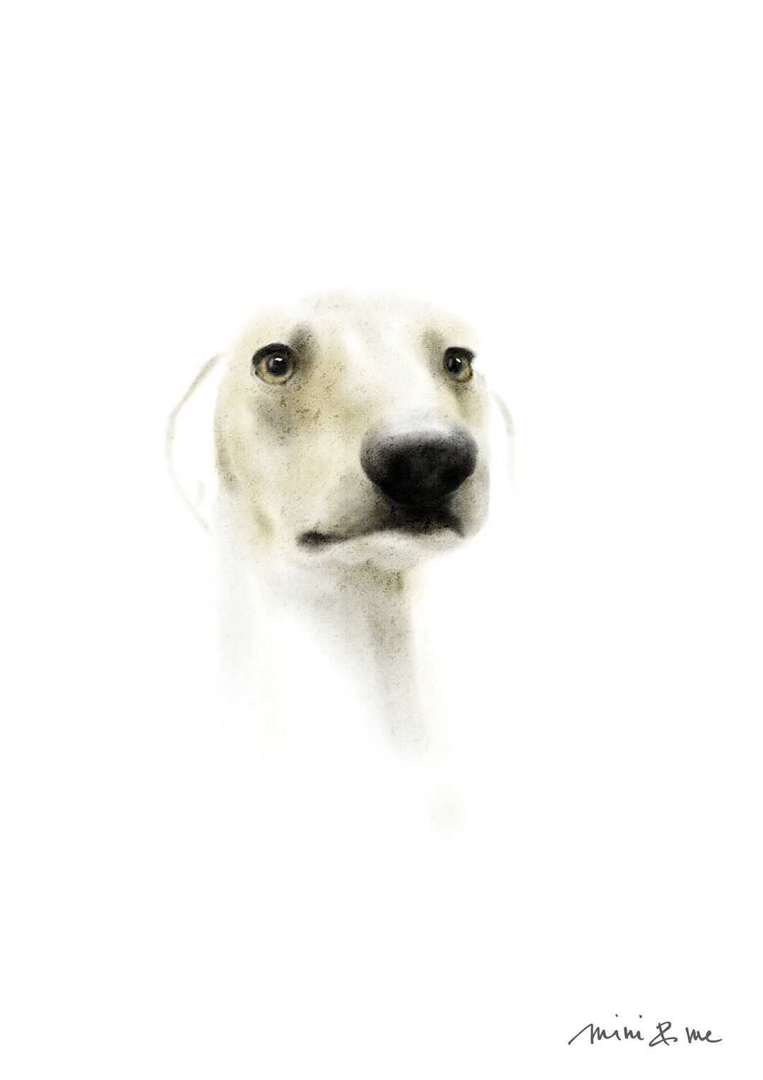 Cute Sighthound Galgo Digital Drawing - Etsy