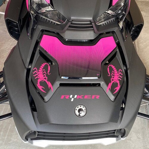 Spider Trike Decals for Can-am Spyder Ryker Window or - Etsy