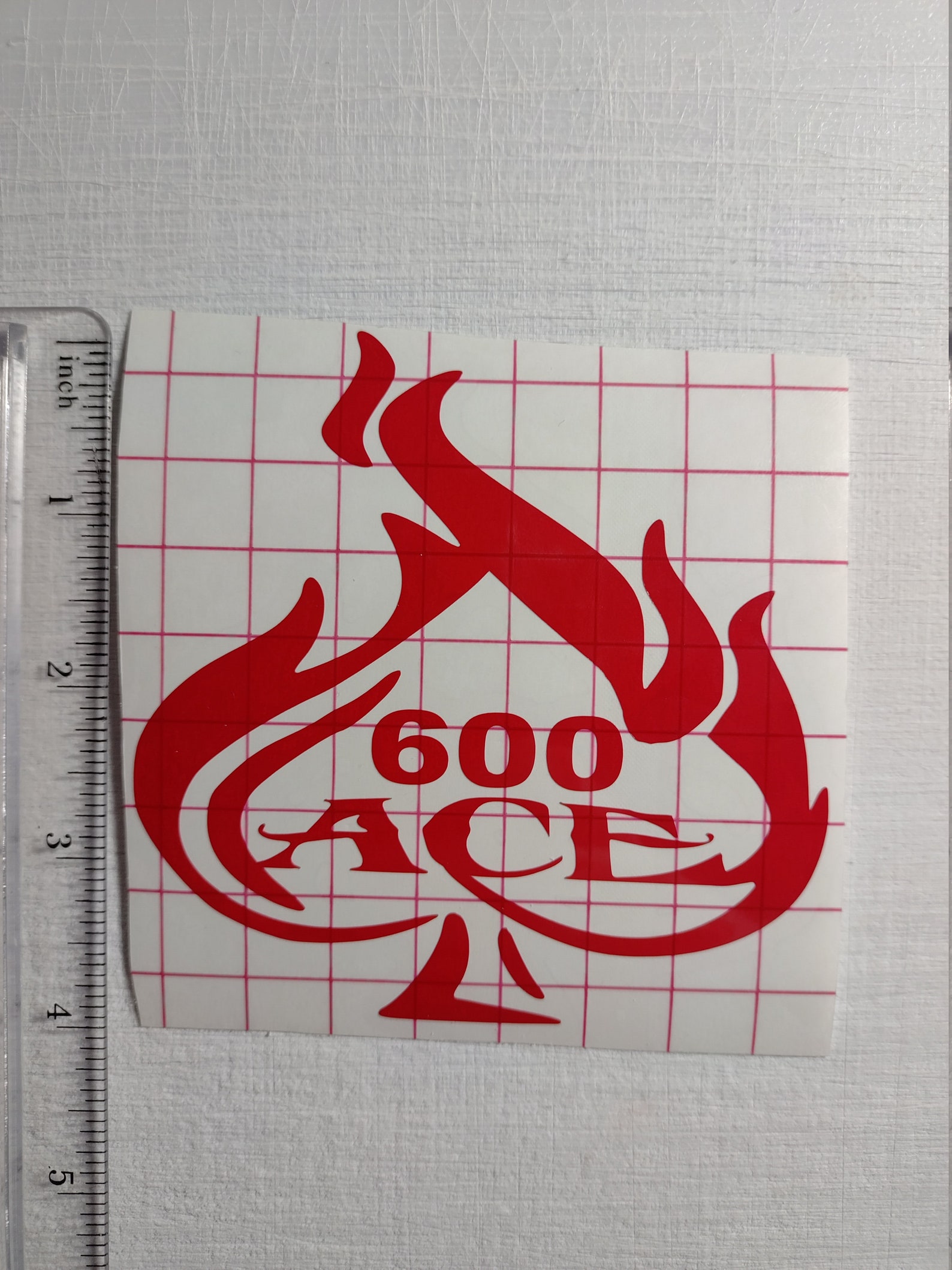 Fiery 600 ACE Decals Fits Can-am Ryker Panels 2 Decal Set - Etsy