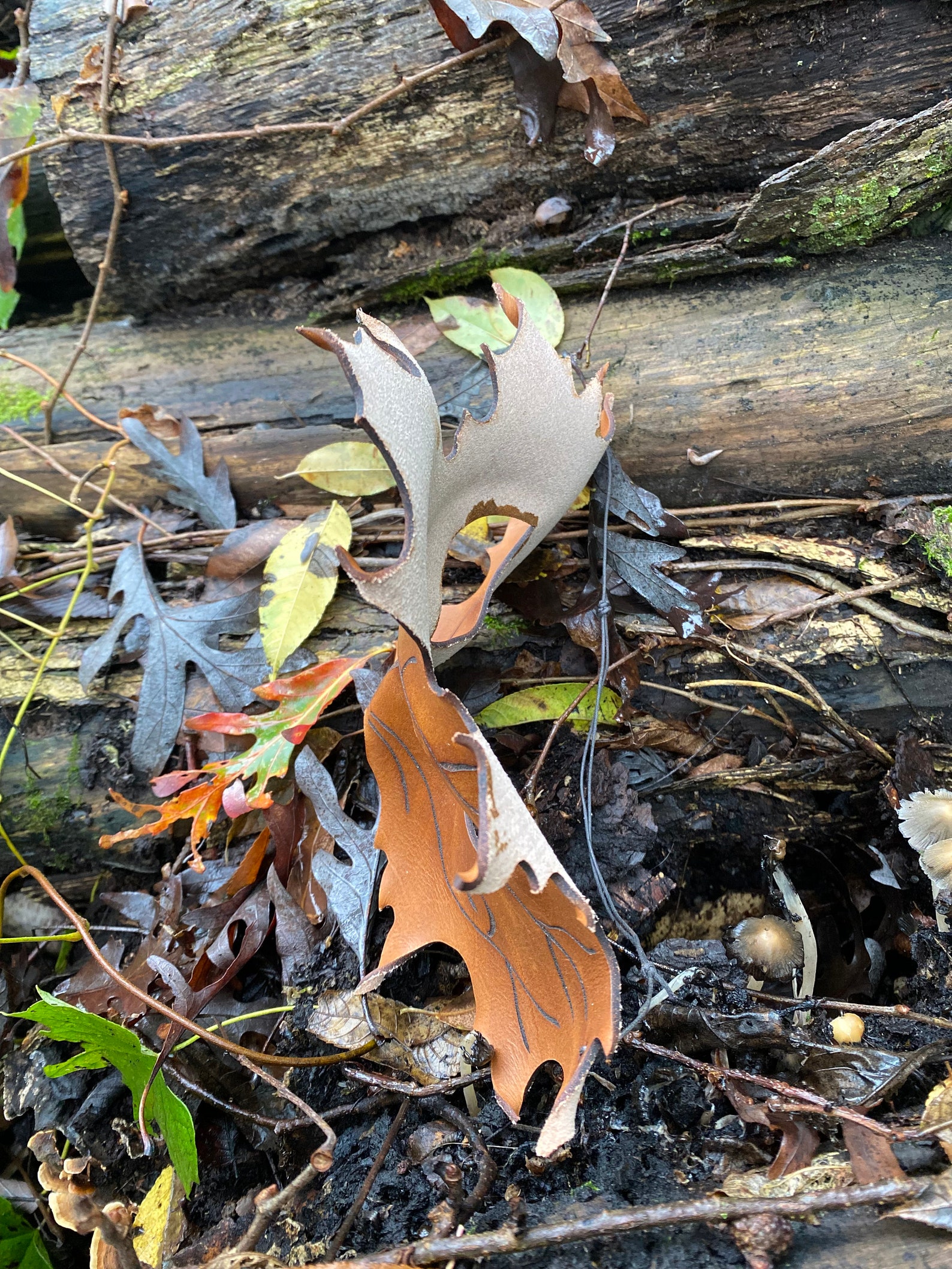 Leaf Druid Mask Guardian Leather Mask Victorian Costume - Etsy