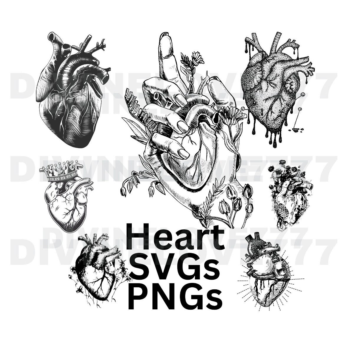 Heart Anatomy PNG and SVG Bundle - Etsy Singapore