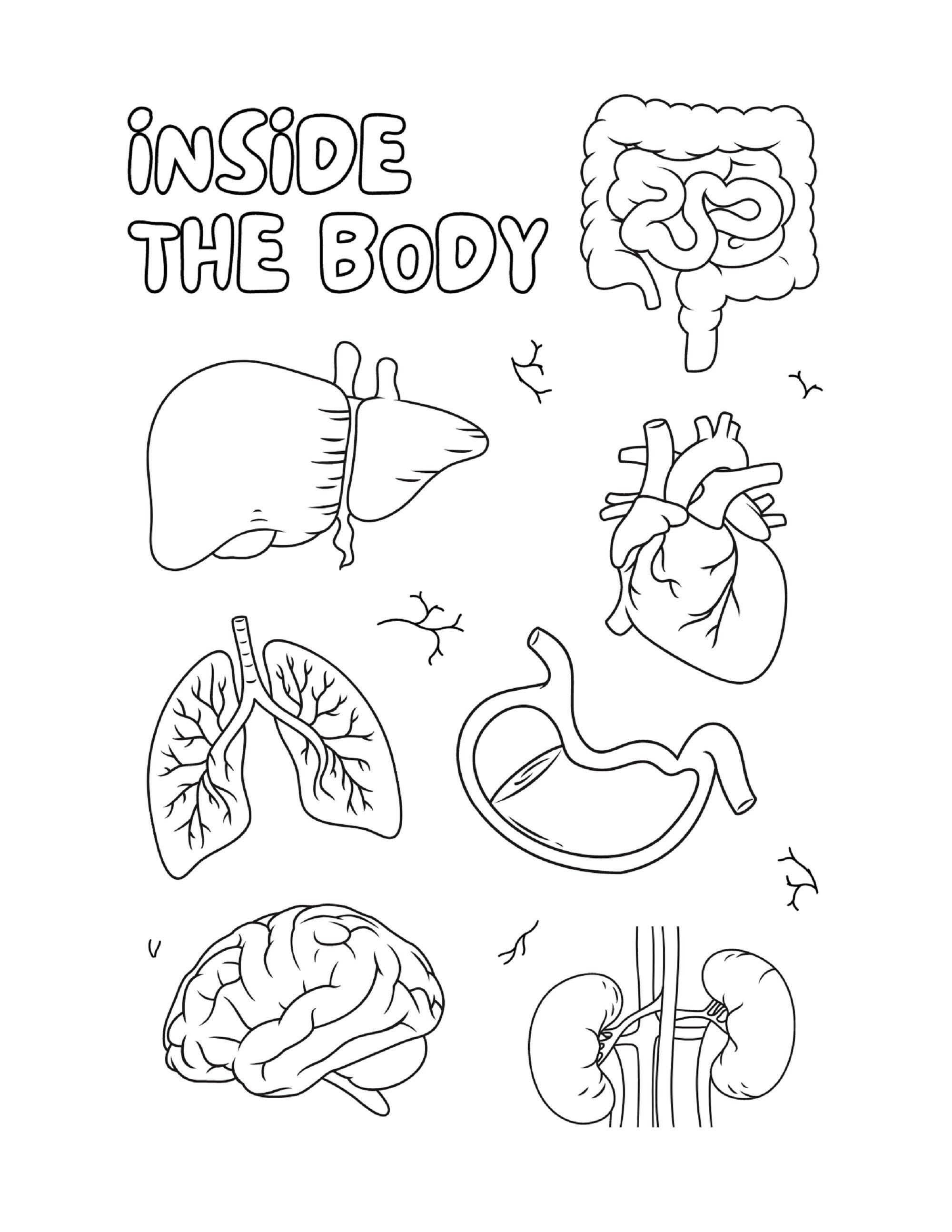 My Body Coloring Pages