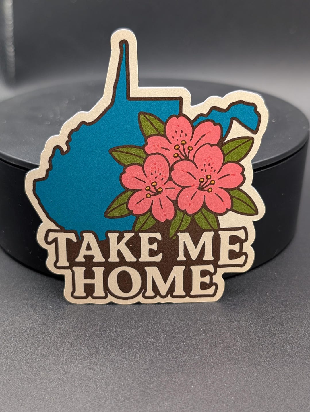 Take Me Home Sticker - Etsy