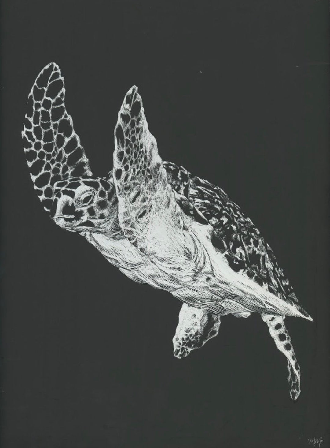 Happy Swimming Sea Turtle on Scratchboard, Black and White Wall Decor ...
