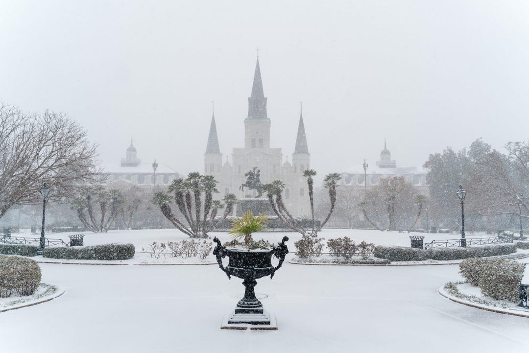 New Orleans Snow Cathedral 2025 Glossy Poster Picture Photo Print ...