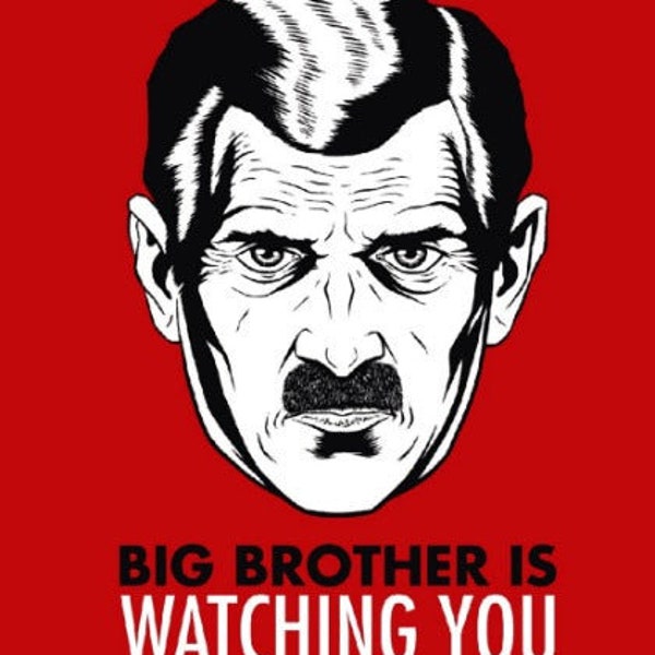 1984 Big Brother Poster - Etsy