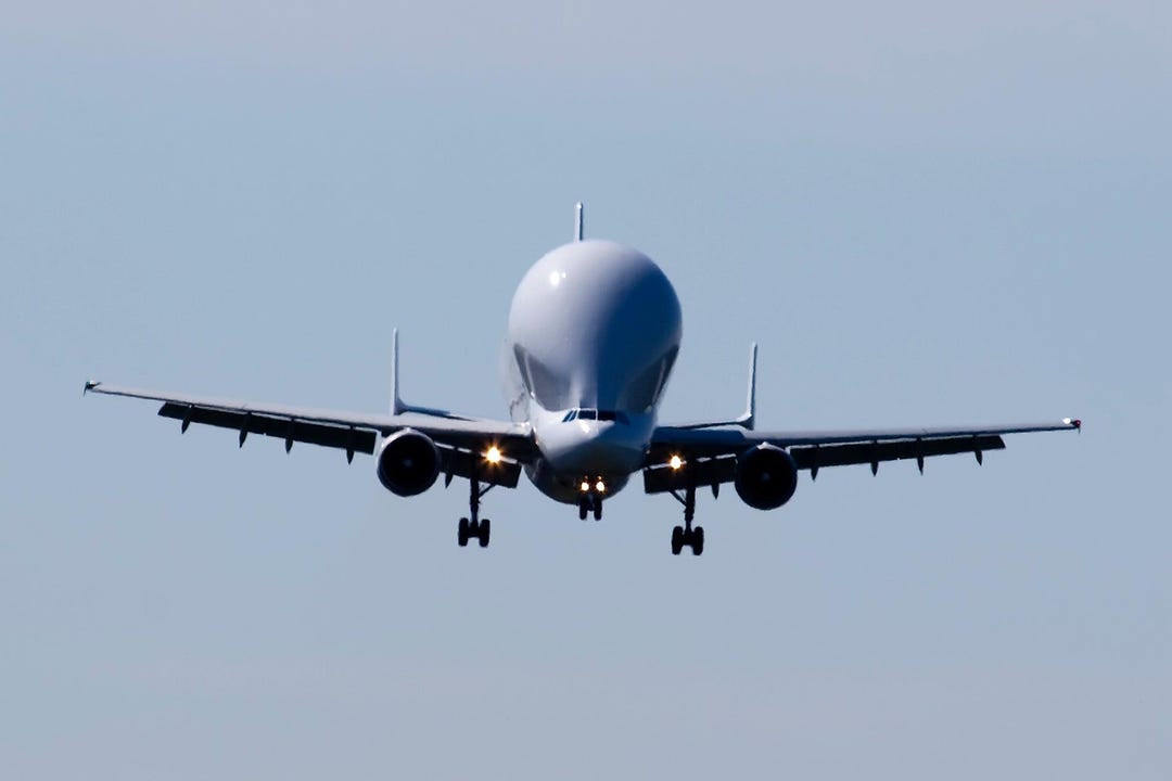 Airbus Beluga in Flight Glossy Poster Picture Photo Print Banner ...