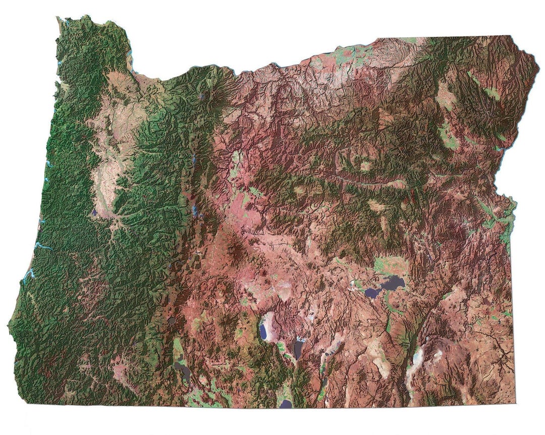 Oregon Satellite Map Glossy Poster Picture Photo Print Banner ...