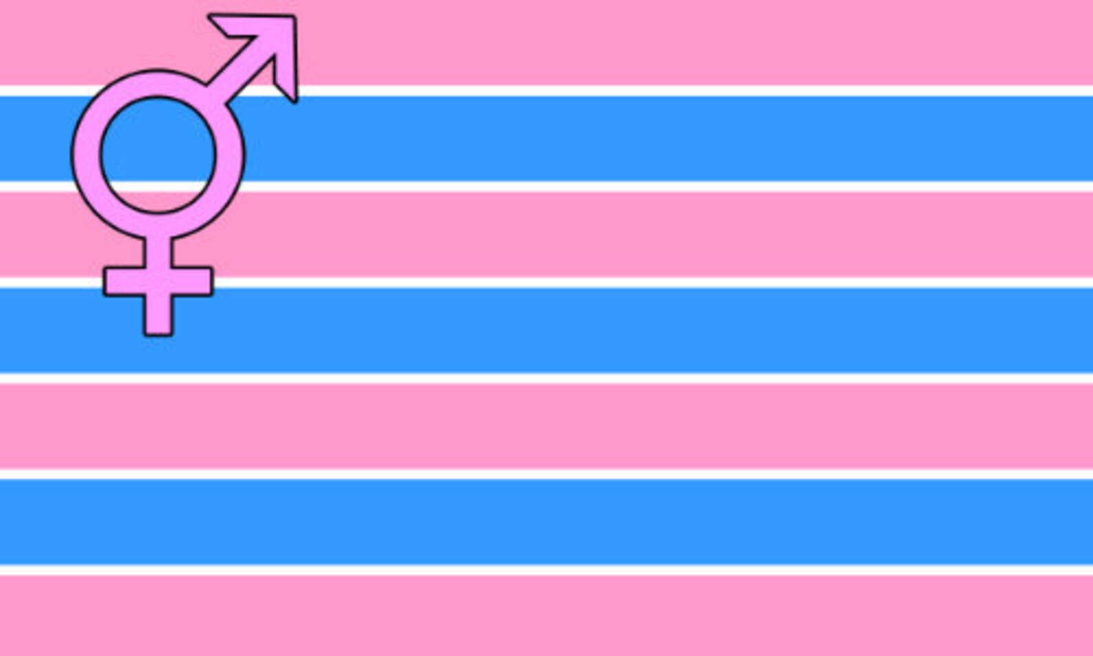 TRANSGENDER FLAG GLOSSY Poster Picture Photo Banner Print - Etsy