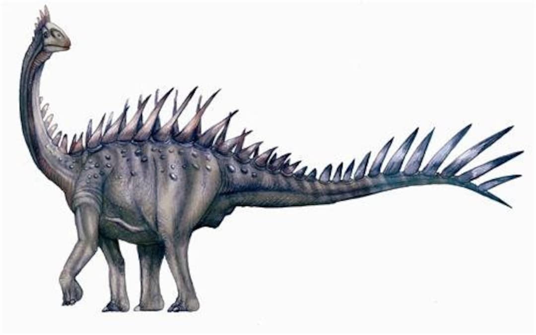 Agustinia ligabuei(the spiked sauropod) - Creature submission archive ...