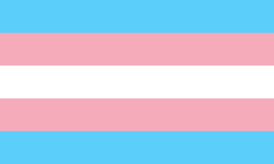 TRANSGENDER FLAG GLOSSY Poster Picture Photo Banner Print Trans Gay ...