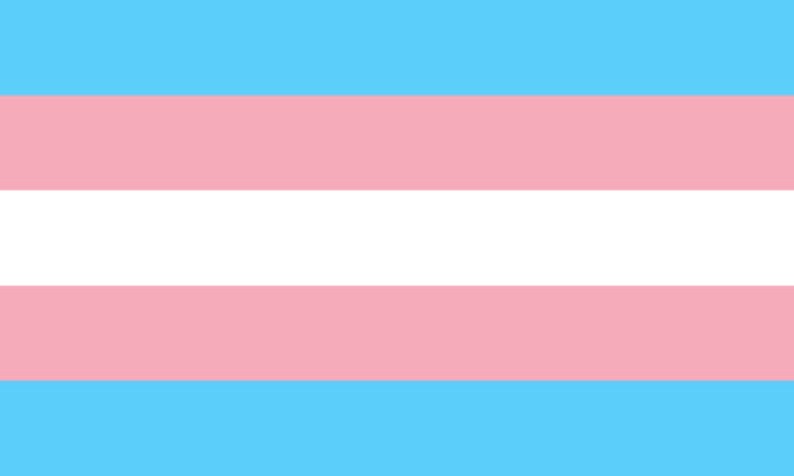 TRANSGENDER FLAG GLOSSY Poster Picture Photo Banner Print - Etsy