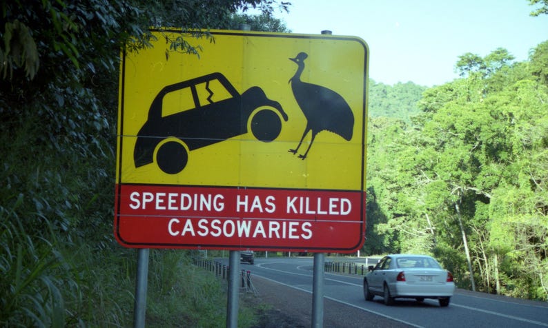 Cassowary Cassowarie Road Sign Glossy Poster Picture Photo Print Banner ...