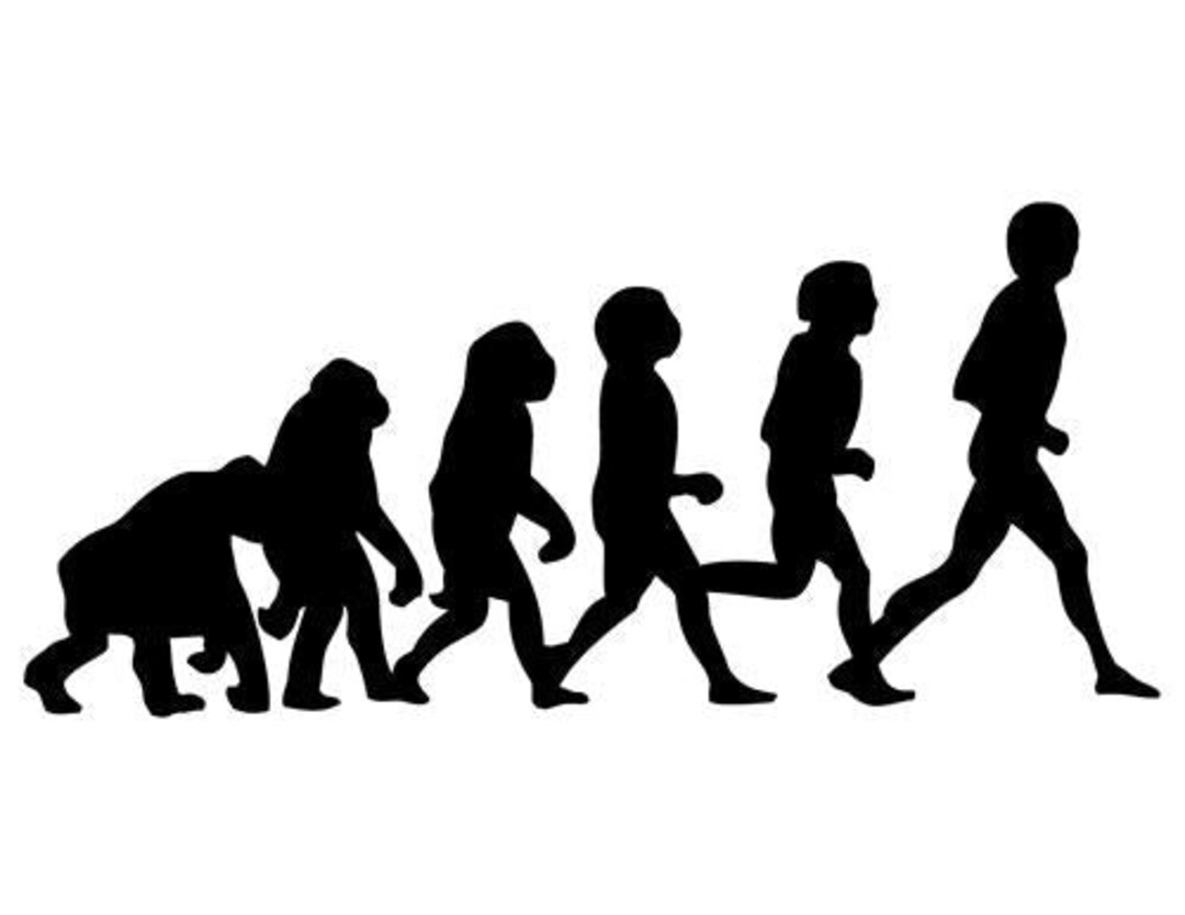HUMAN EVOLUTION GLOSSY Poster Picture Photo Cycle Education - Etsy