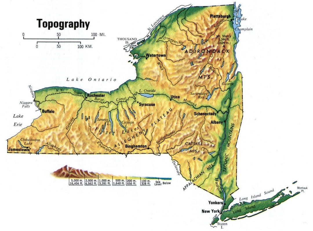 New York Topography Map Glossy Poster Picture Photo Print Banner - Etsy