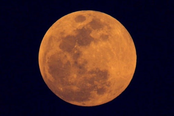 ORANGE FULL MOON Glossy Poster Picture Banner Print Photo Buck - Etsy