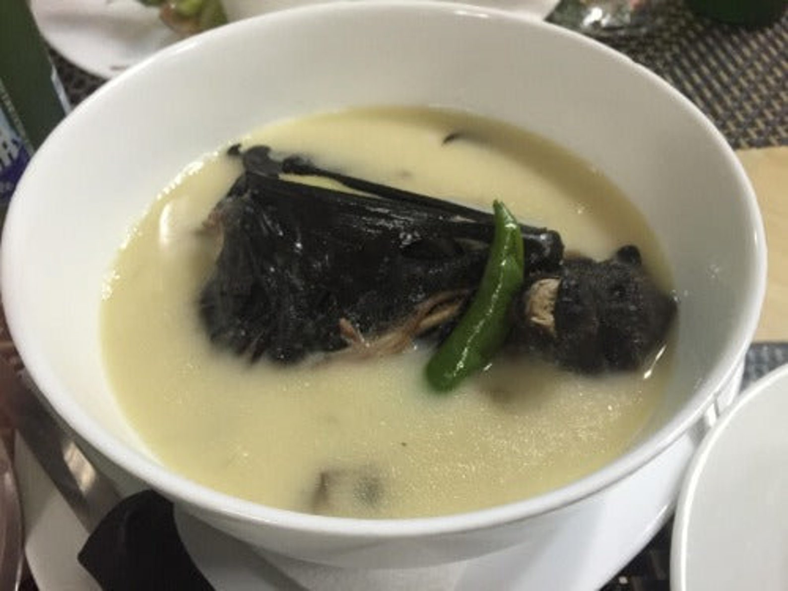 BAT SOUP GLOSSY Poster Picture Photo Banner Print Nasty Gross - Etsy