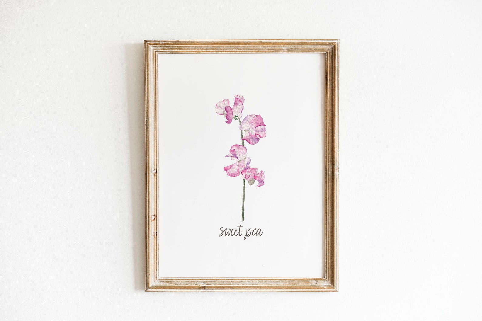 April Birth Flower Sweet Pea, Watercolor Print, Birth Month Wall Art ...