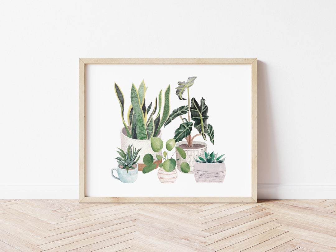 House Plants Botanical Art Print, Watercolor House Plant, Succulent ...