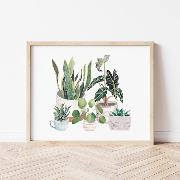 House Plants - Etsy