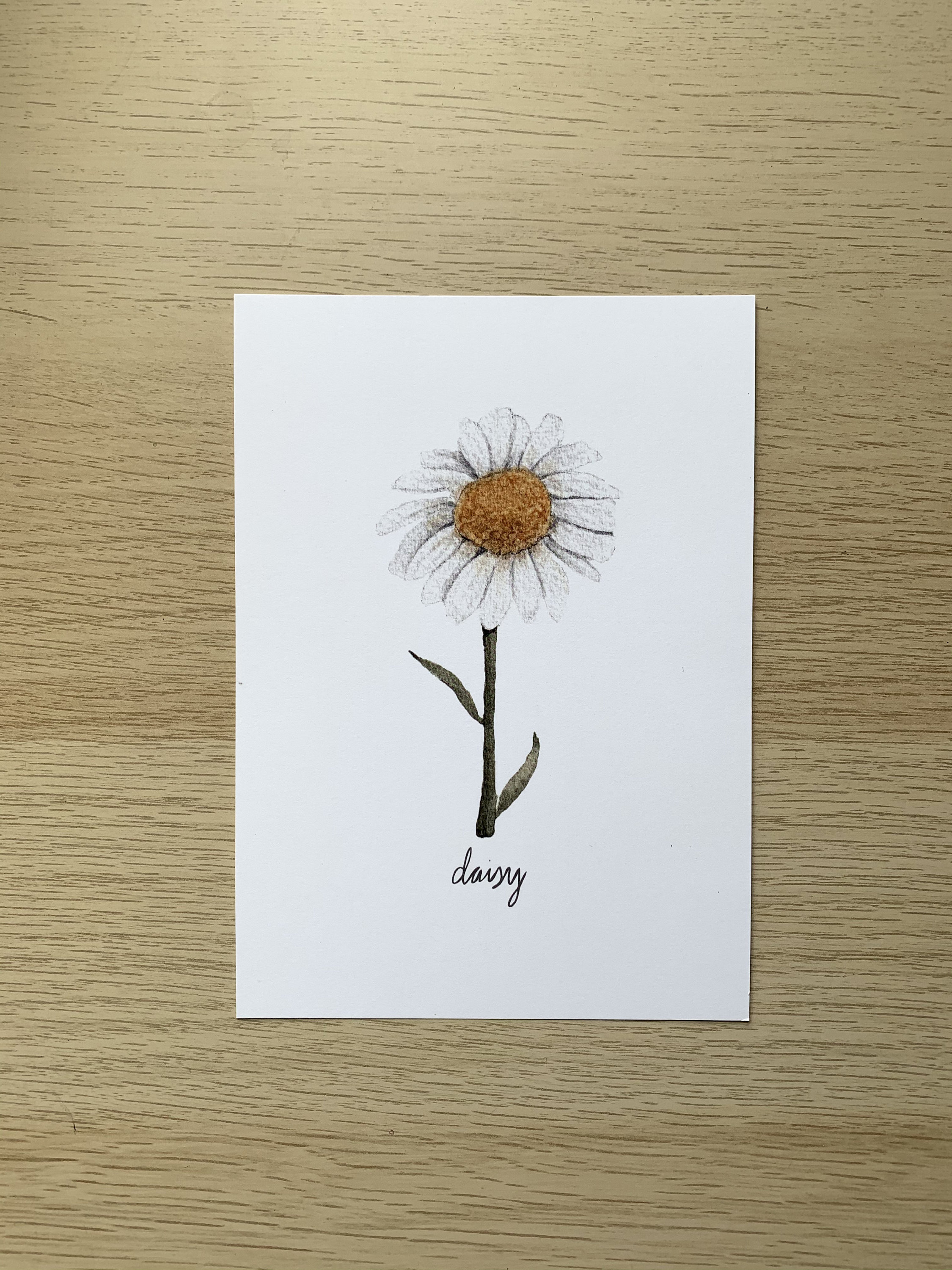 April Birth Flower Daisy Watercolor Print | Etsy