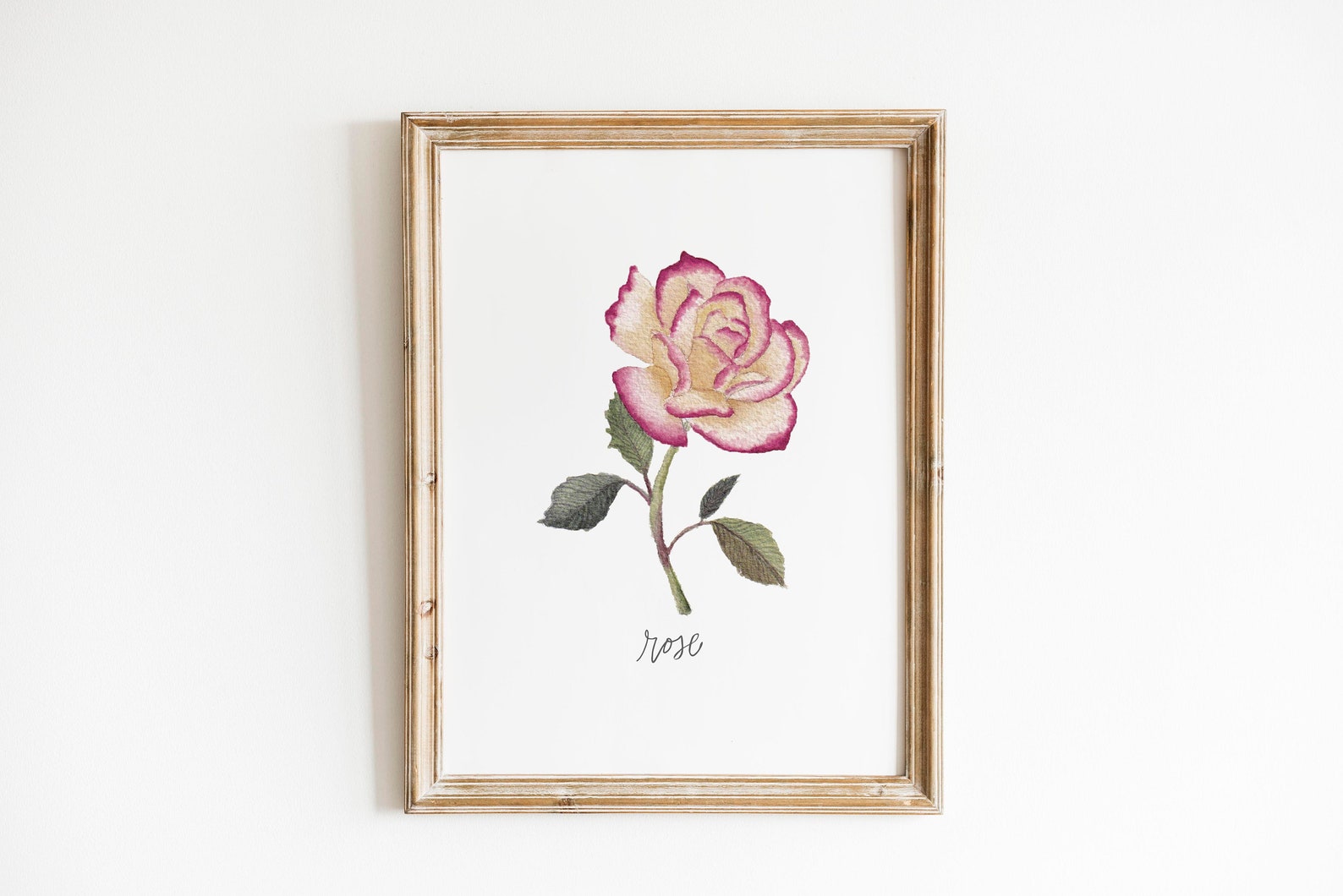 June Birth Flower Rose Birth Flower Watercolor Print - Etsy