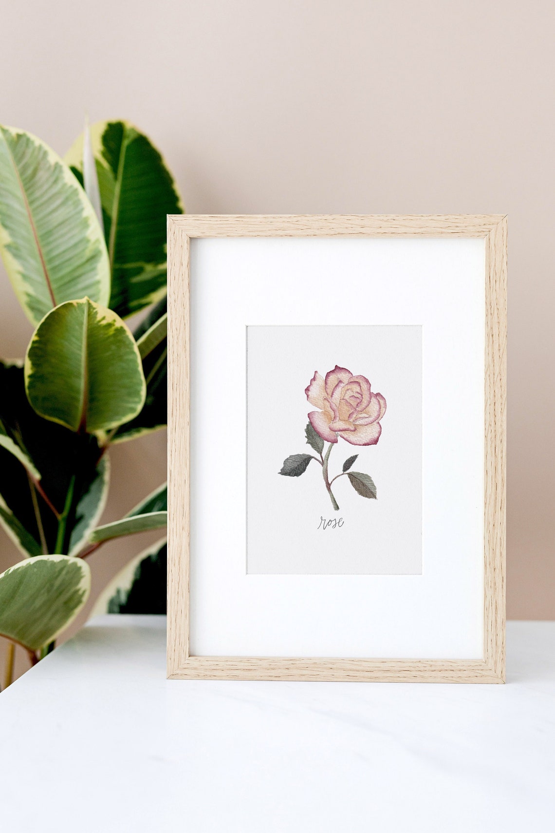 June Birth Flower Rose Birth Flower Watercolor Print - Etsy