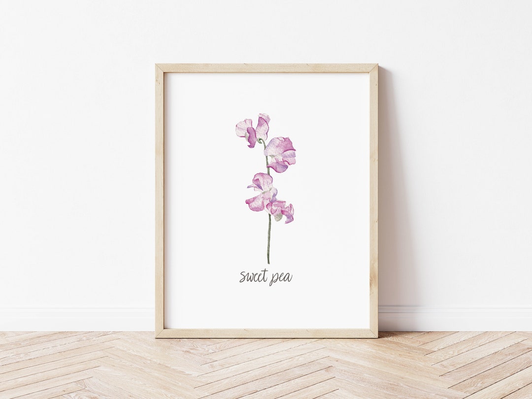 April Birth Flower Sweet Pea, Watercolor Print, Birth Month Wall Art ...