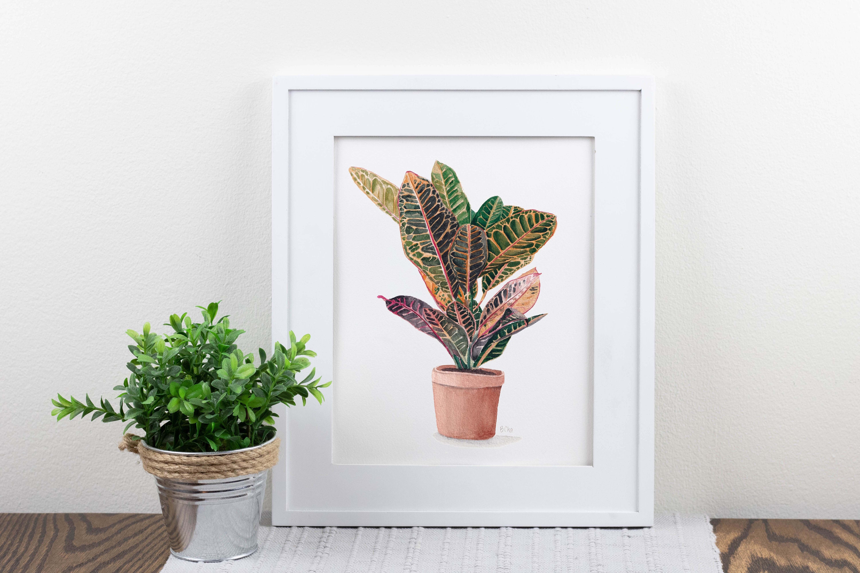 Botanical Art Print, Watercolor House Plant, Croton, Gifts for Plant ...