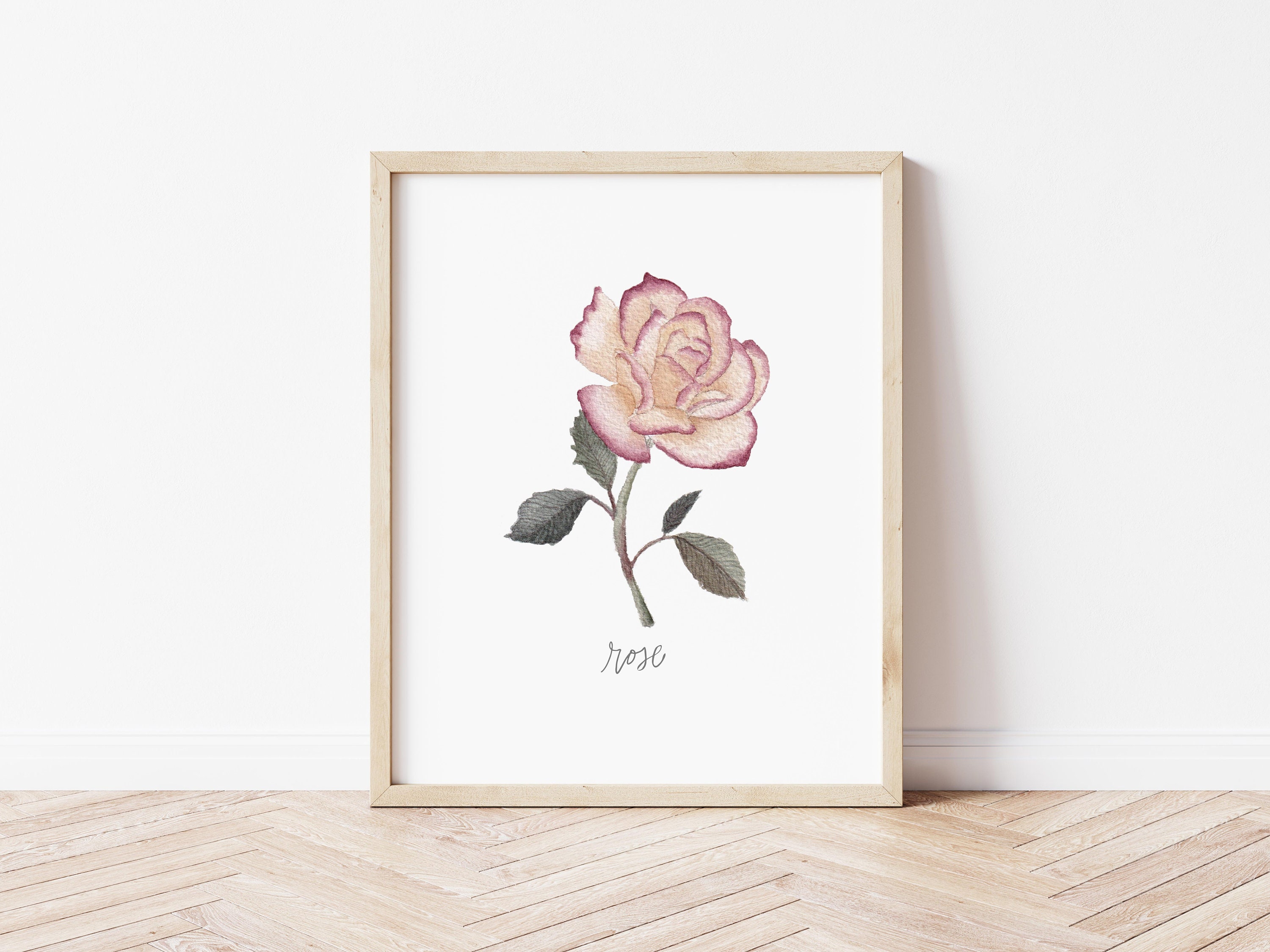 June Birth Flower Rose | Birth Flower Watercolor Print | Botanical ...