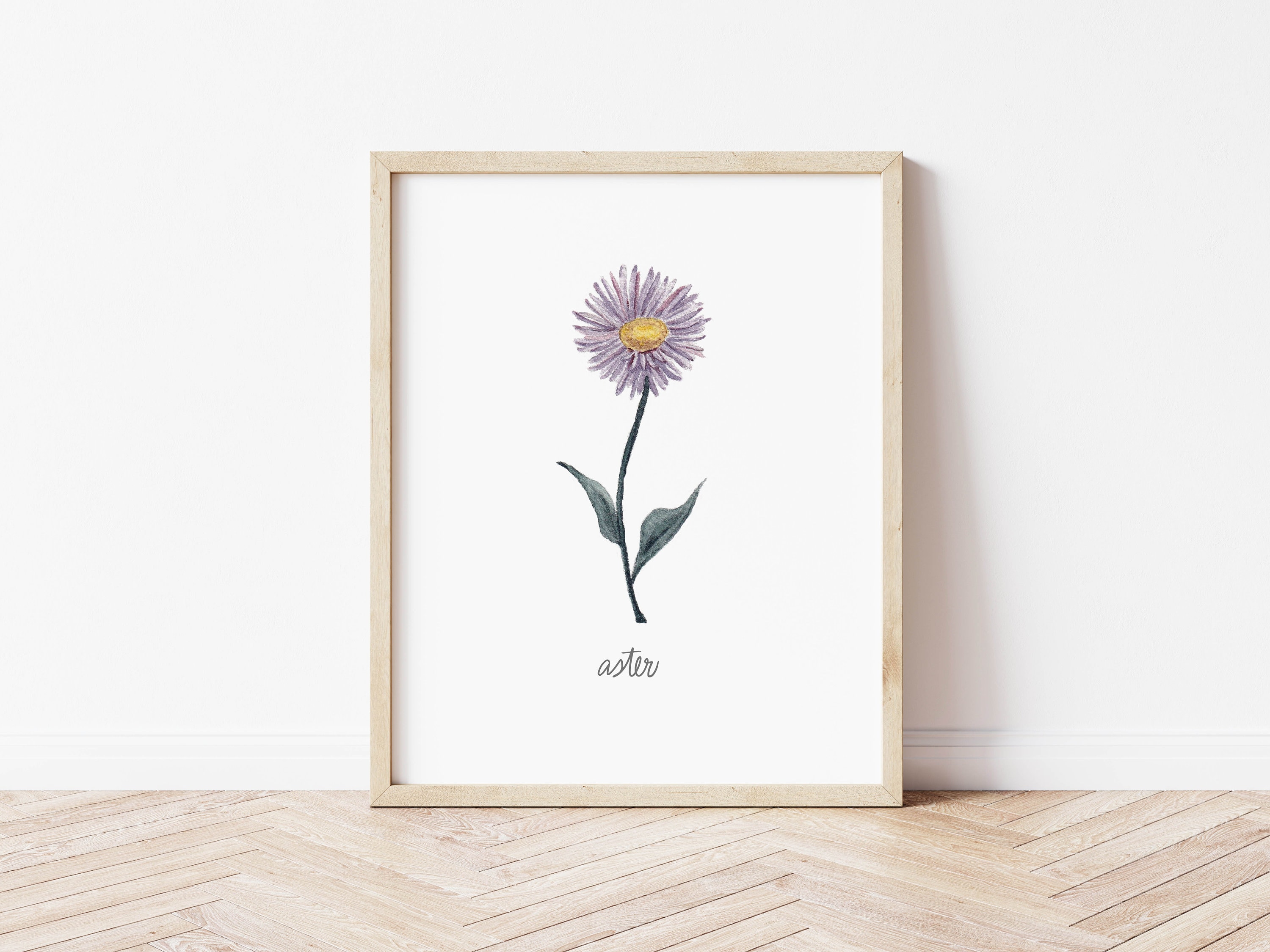 September Birth Flower Aster Birth Flower Watercolor Print - Etsy