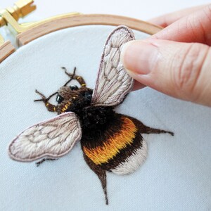 Stumpwork Embroidery & Thread Painting: Stitch 3D Nature Motifs (signed ...