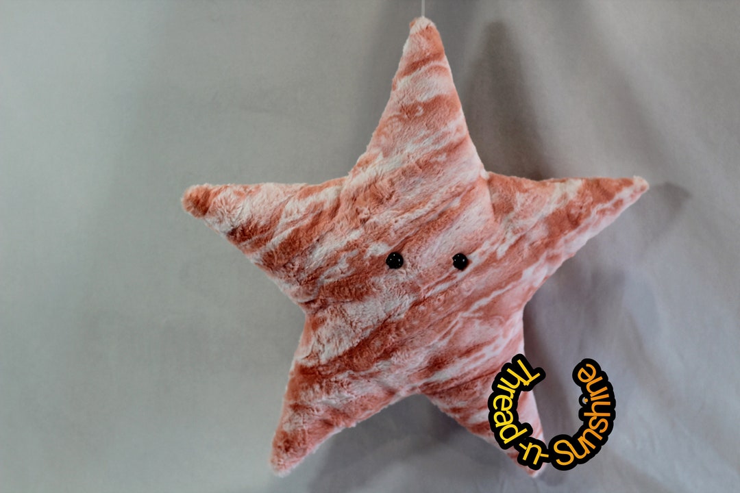 Stuffed Animal Starfish-plush Minky-hand Crafted-super Soft and Snuggly ...