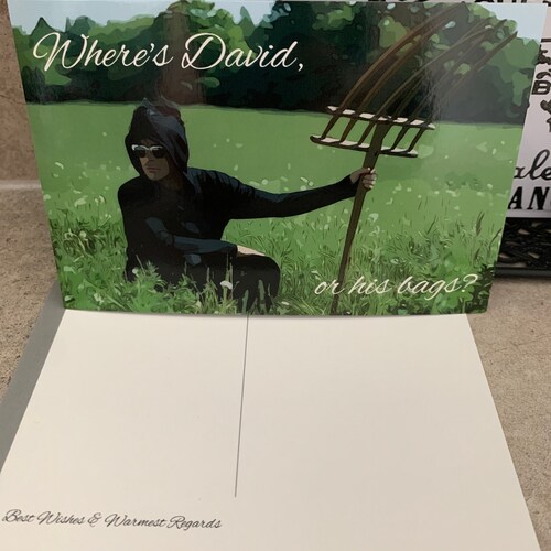 Wheres David or His Bags Postcard Amish David Rose | Etsy