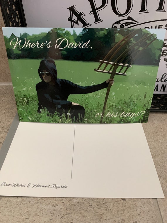 Wheres David or His Bags Postcard Amish David Rose | Etsy