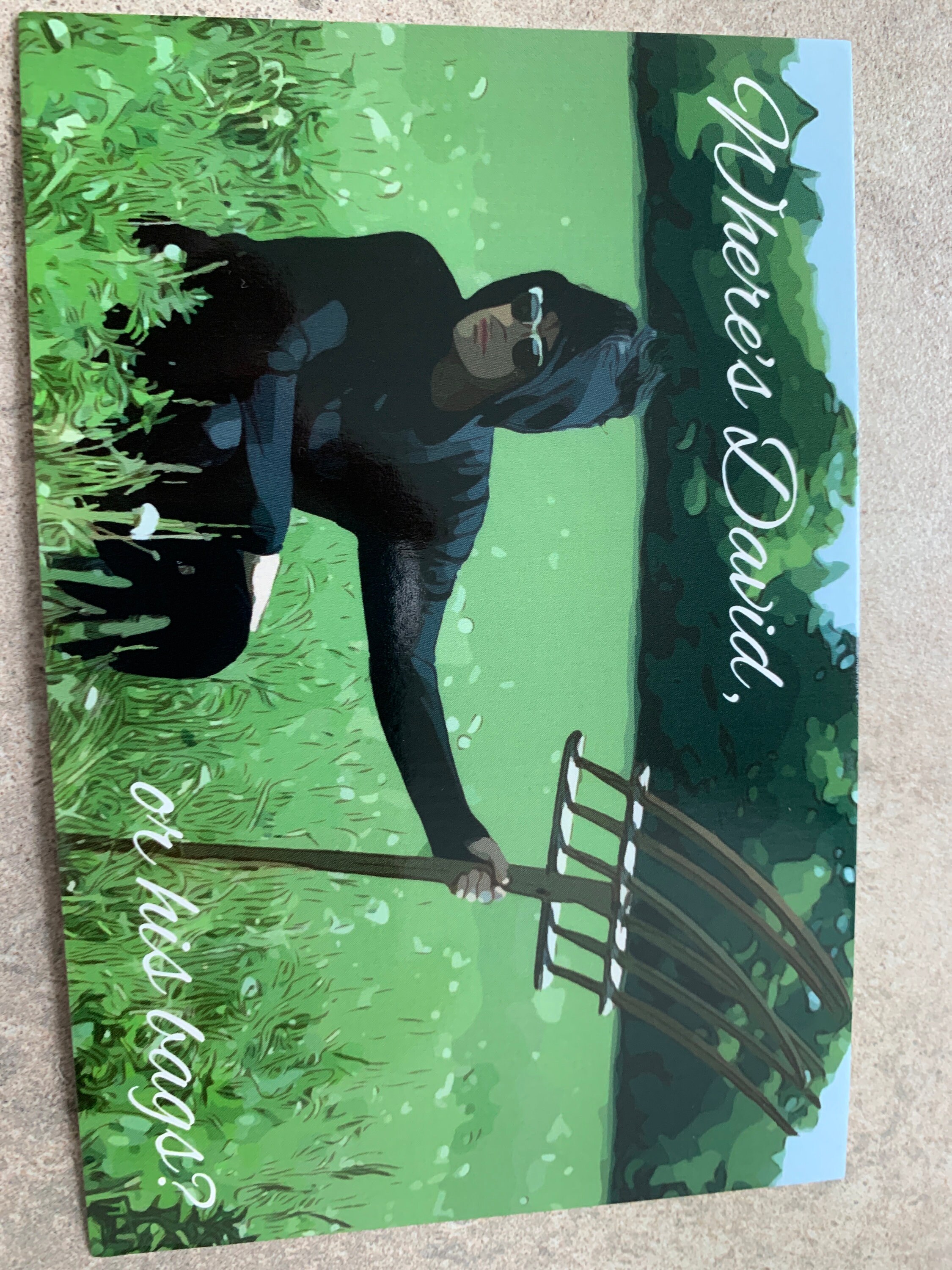 Wheres David or His Bags Postcard Amish David Rose | Etsy