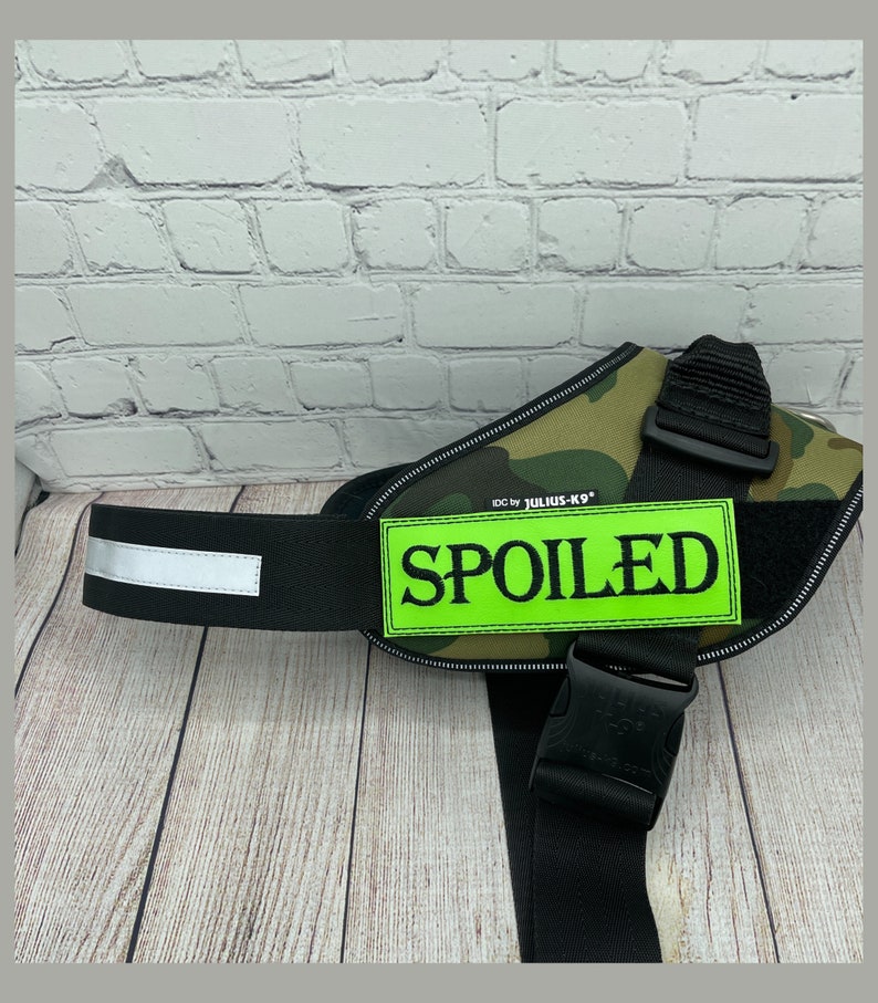 Personalized Embroidered Dog Harness Patch With Hook Backing - Etsy