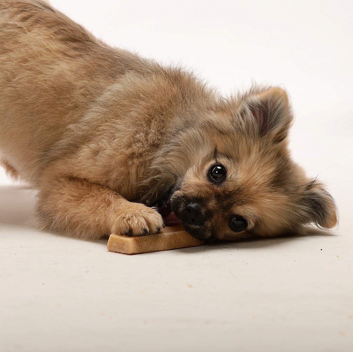 Super Himalayan Dog Chew-all Natural Hard Cheese Himalayan Dog Treats ...