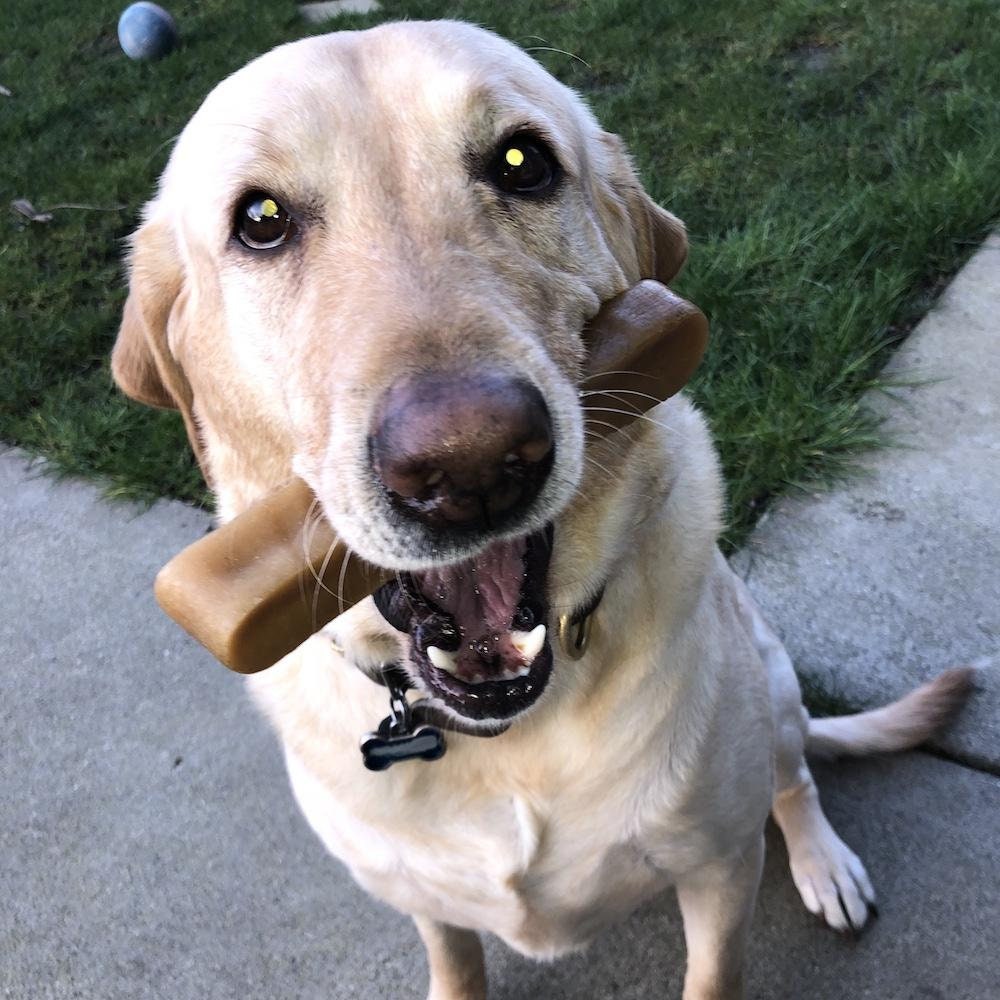 Super Himalayan Dog Chew-all Natural Hard Cheese Himalayan Dog Treats ...
