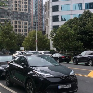 Custom Ukraine UA Embossed Mockup License Plate Name White European ...