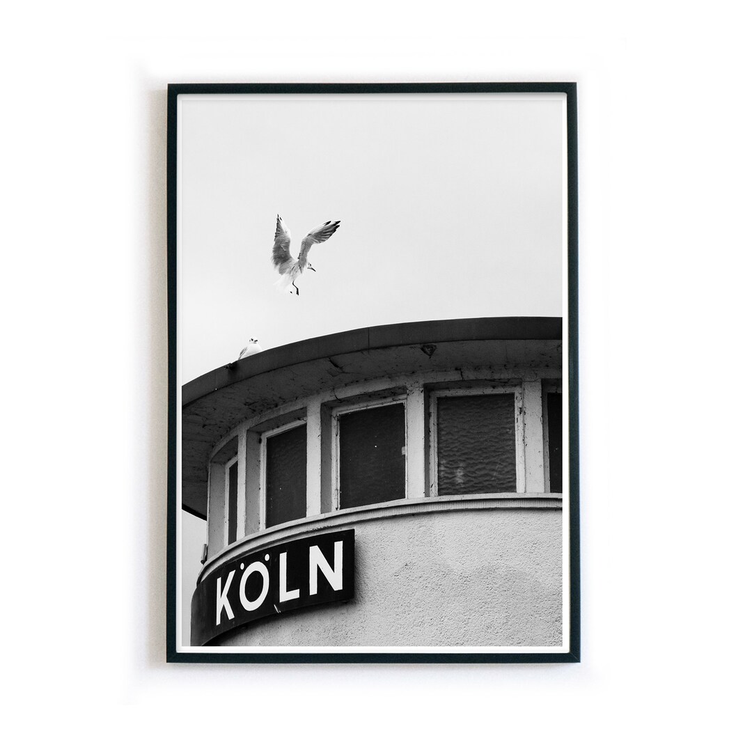 Cologne Poster Cologne Cathedral Black and White Picture Seagull City ...