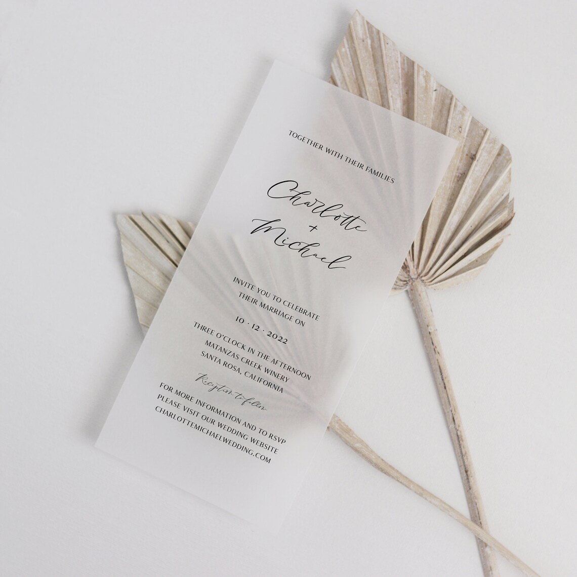 Modern Translucent Vellum Wedding Invitation Minimal Wedding | Etsy