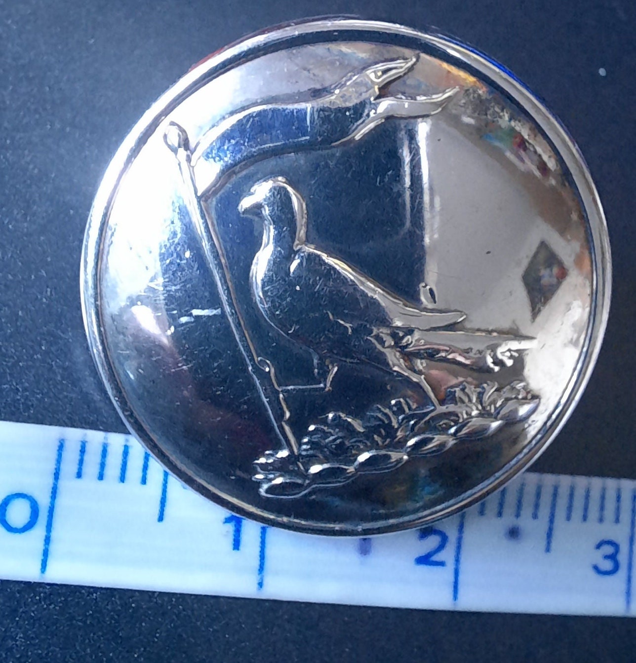 Button Bird Picture Livery Button 2.5cm Diameter.. - Etsy