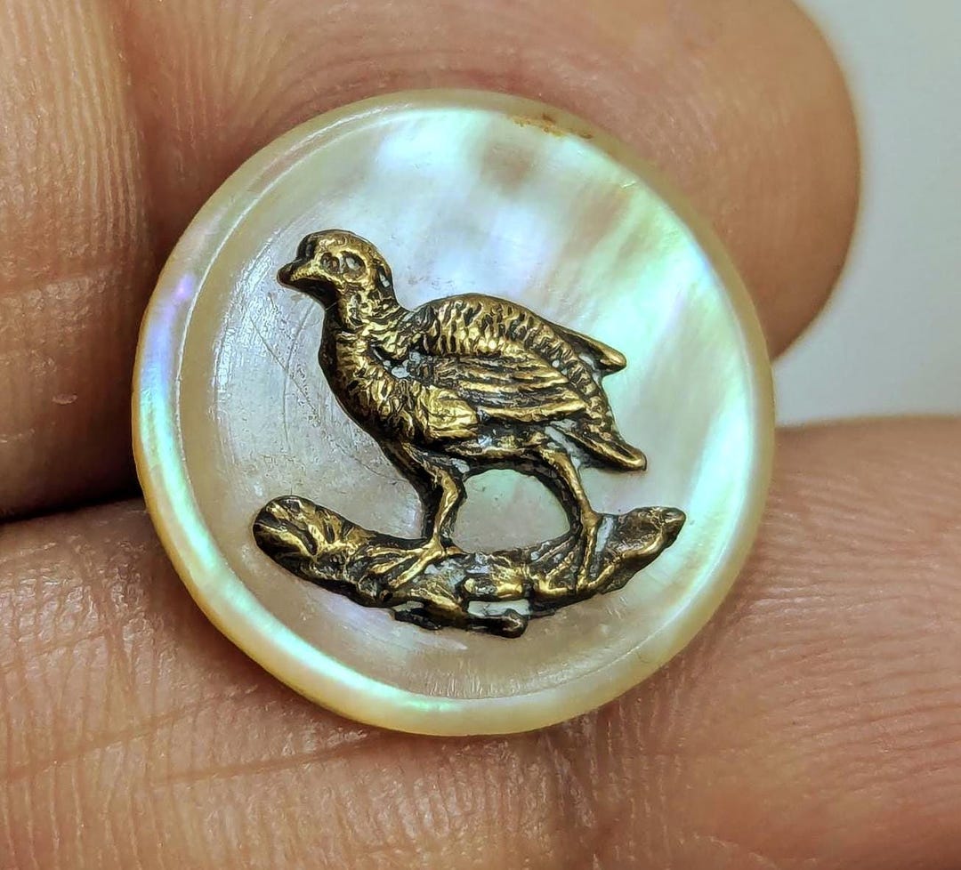 Antique Victorian Escutcheon Gold Bird on Mother of Pearl. 1.5cm. - Etsy