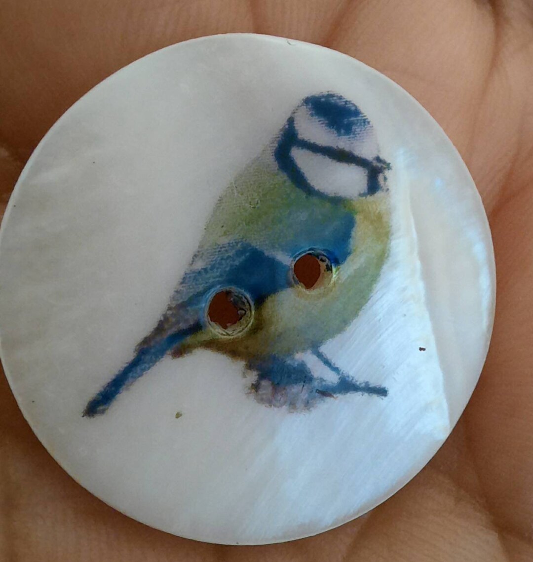 1 Bird Blue Tit Button. 25mm or 2.5 Cm. - Etsy