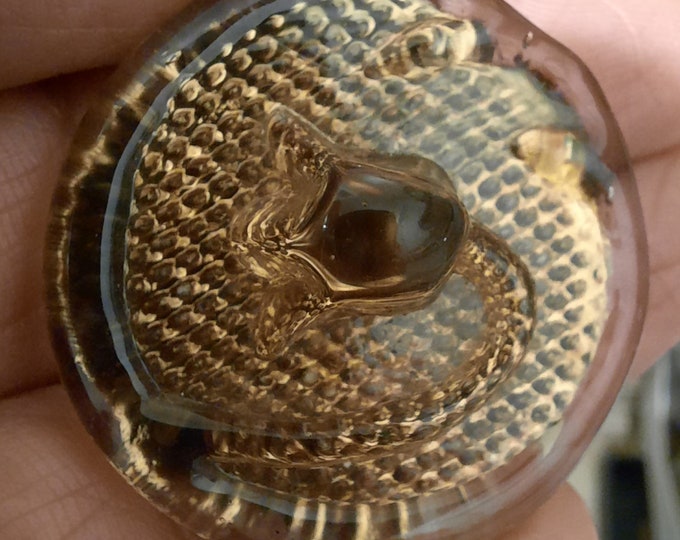 Bimini/orplid Tulip Button Rococo Border Feature. Signed Large 3.3cm ...